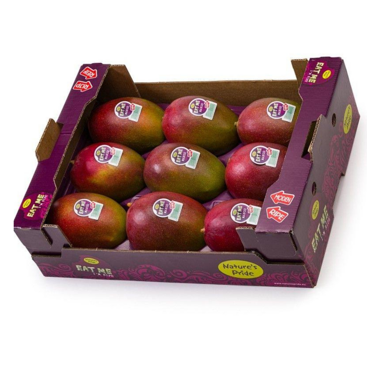 Mango Jessmi Box – Palmyra Orders