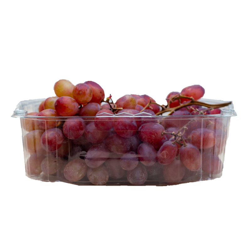 White Grapes (Candy) Pack | Palmyra Orders