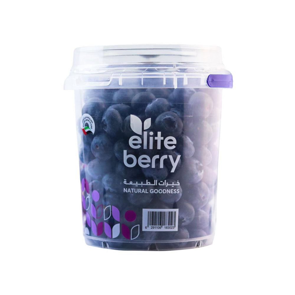 Blueberries Pack-500g – Palmyra Orders